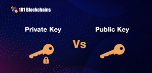 Newbie's Guide: Private key vs Public Key - How They Work?