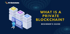 What is a Private Blockchain? Beginner’s Guide - 101 Blockchains