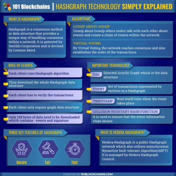 Hashgraph and Hedera Hashgraph: Everything You Need To Know