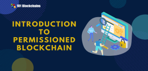 Introduction to Permissioned Blockchains