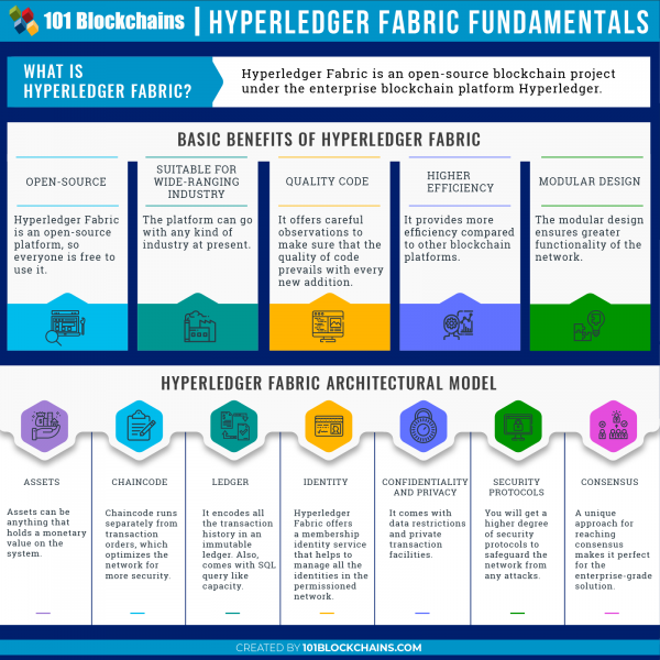 Hyperledger Fabric: A Pioneer Of Blockchain - 101 Blockchains