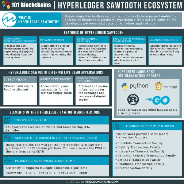 Hyperledger Sawtooth: Blockchain For Business - 101 Blockchains