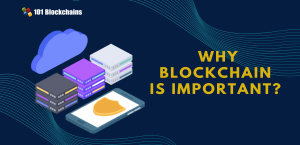 Why Blockchain is Important in 2022 and Beyond - 101 Blockchains