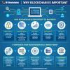 Why Blockchain is Important in 2022 and Beyond - 101 Blockchains
