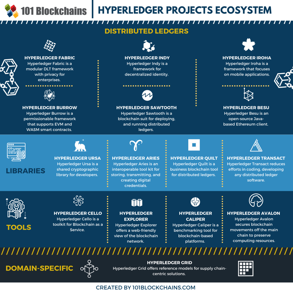 What is Hyperledger? Beginner's Guide - 101 Blockchains