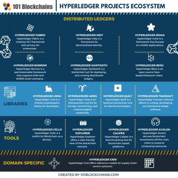 What is Hyperledger? Beginner's Guide - 101 Blockchains