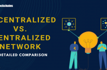 Centralized vs. Decentralized? The New Decentralized Internet Networks