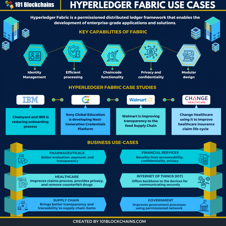 Hyperledger Fabric Use Cases and Case Studies - 101 Blockchains