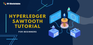 Hyperledger Sawtooth Tutorial For Beginners - 101 Blockchains