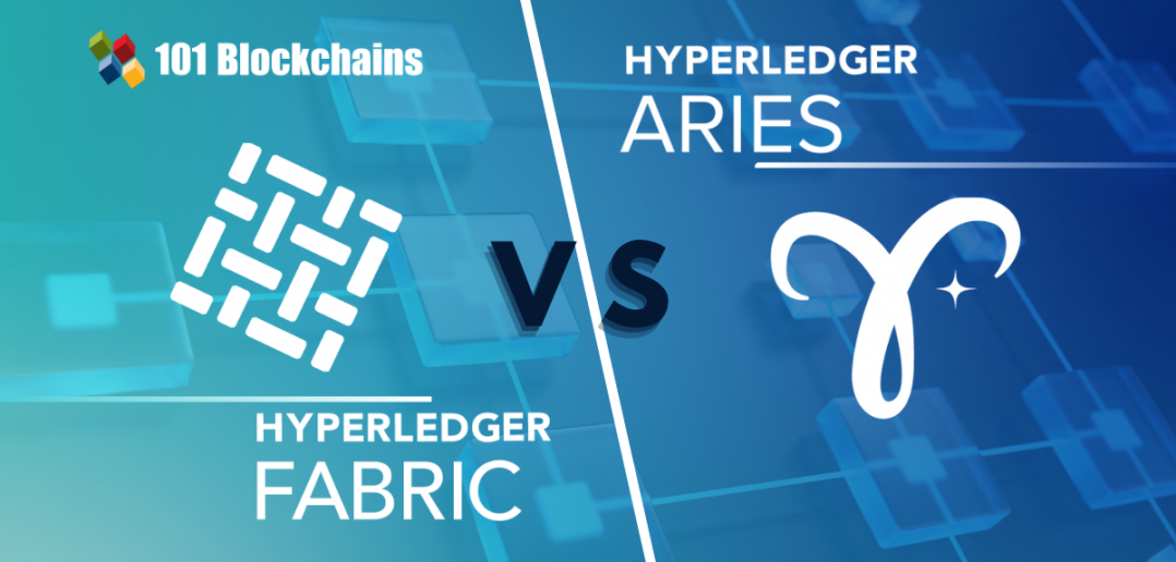 Key Differences Between Hyperledger Aries and Hyperledger Fabric