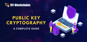 An Introduction to Public Key Cryptography - 101 Blockchains