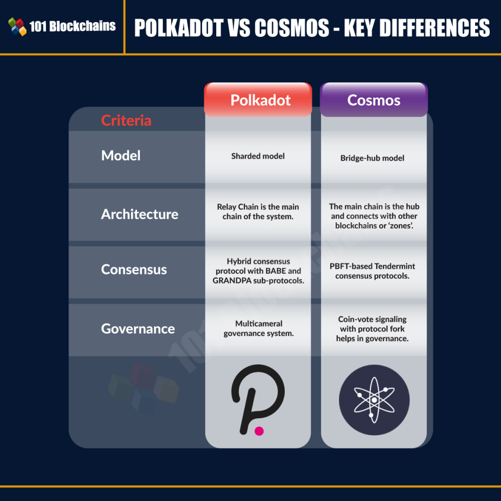 Polkadot vs Cosmos - Key Differences - 101 Blockchains