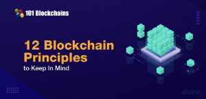 Blockchain Principles: Design Your Enterprise Blockchain - 101 Blockchains