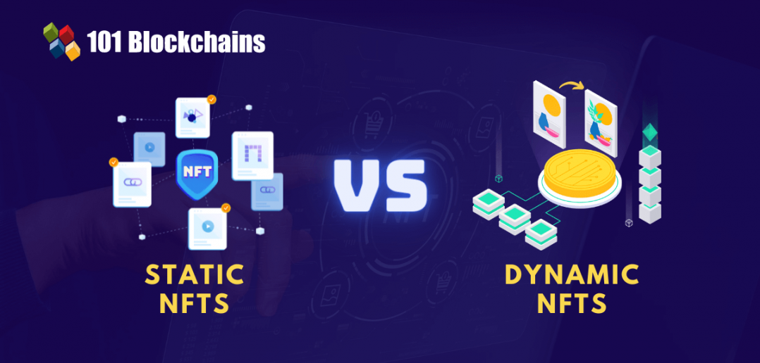 Key Difference Between Static And Dynamic NFTs - 101 Blockchains