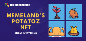 What Is Memeland's Potatoz NFT? - 101 Blockchains