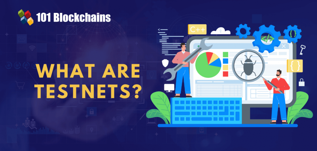 Know Everything About Testnets - 101 Blockchains