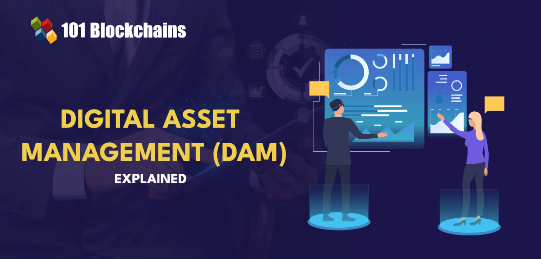 Know Everything about Digital Asset Management (DAM)