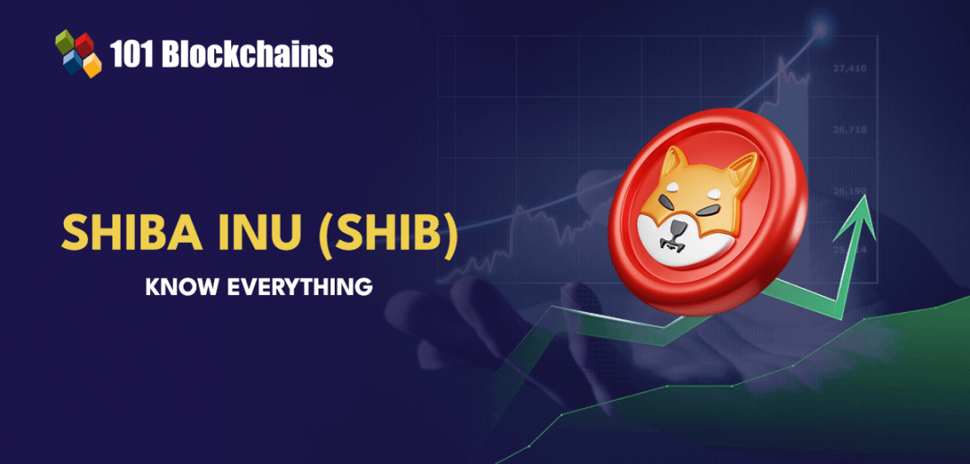 What Is Shiba Inu (SHIB) And How Does It Work? - 101 Blockchains