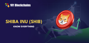 What Is Shiba Inu (SHIB) And How Does It Work? - 101 Blockchains