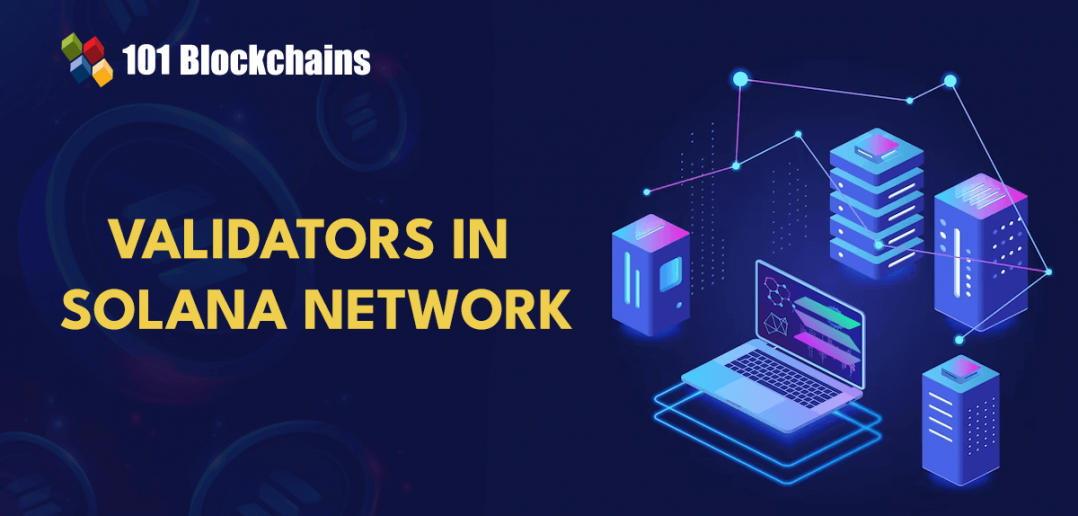 The Role of Validators in the Solana Network The Role of Validators in the Solana Network
