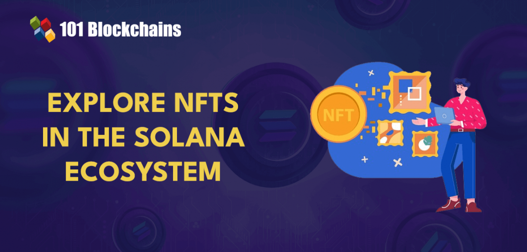 NFTs on Solana: Exploring NFTs in Solana Ecosystem