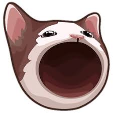 List of Best 10 Meme Coins to Buy - 101 Blockchains