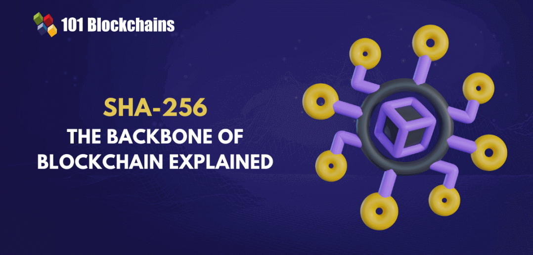 What is SHA 256 Algorithm and How does it work? - 101 Blockchains