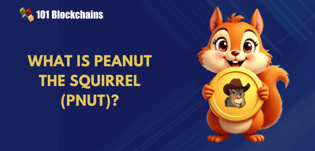 What is Peanut the Squirrel (PNUT) and How Does it Work? - 101 Blockchains
