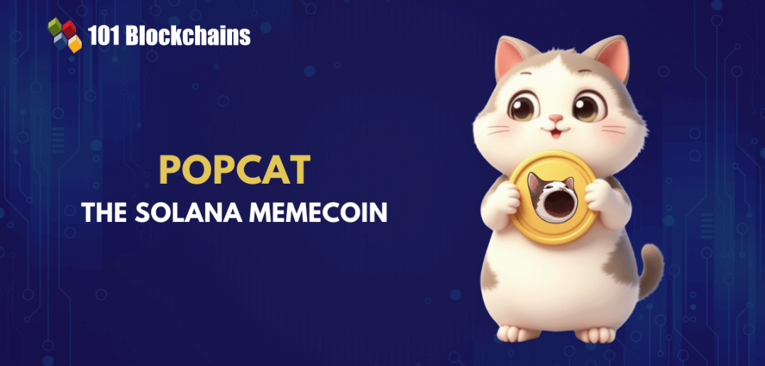 A Deep Dive into Popcat: The Solana Memecoin - 101 Blockchains