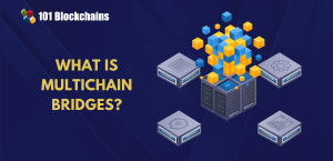 Multichain Bridges: Enabling Blockchain Interoperability - 101 Blockchains