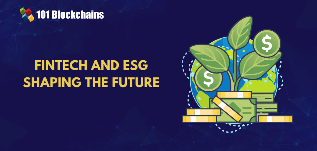 The Intersection of Fintech and ESG (Environment, Social, Governance) - 101 Blockchains